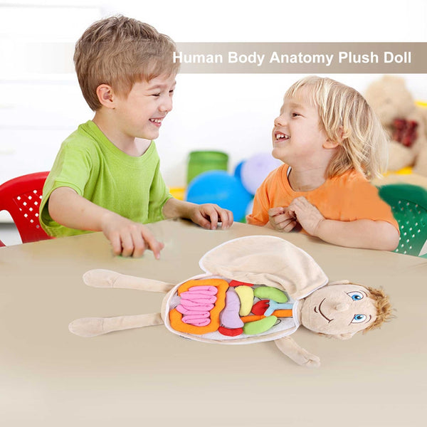 Kids Assembled Organs Toy Human Body Anatomy Plush Doll Science Teachi ...